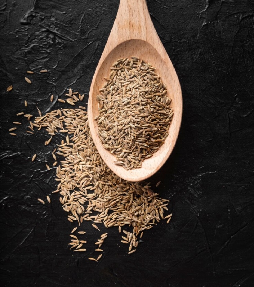 Igrain Posts